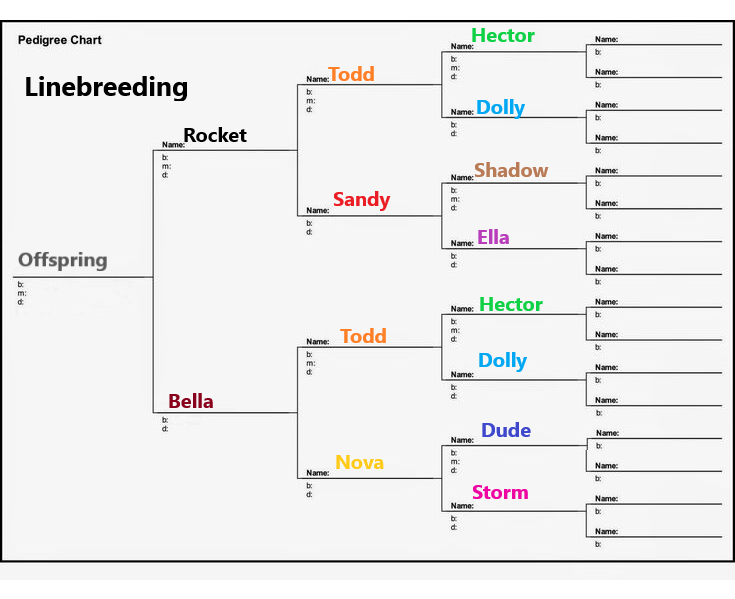 Linebreeding vs. Inbreeding Explained