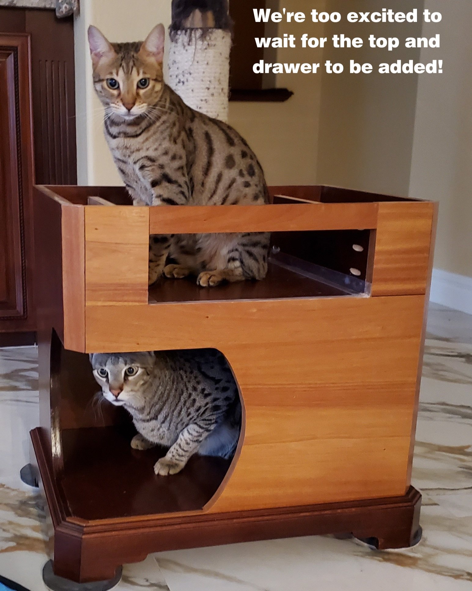 DIY Cat Bed and End Table or Nightstand Combo