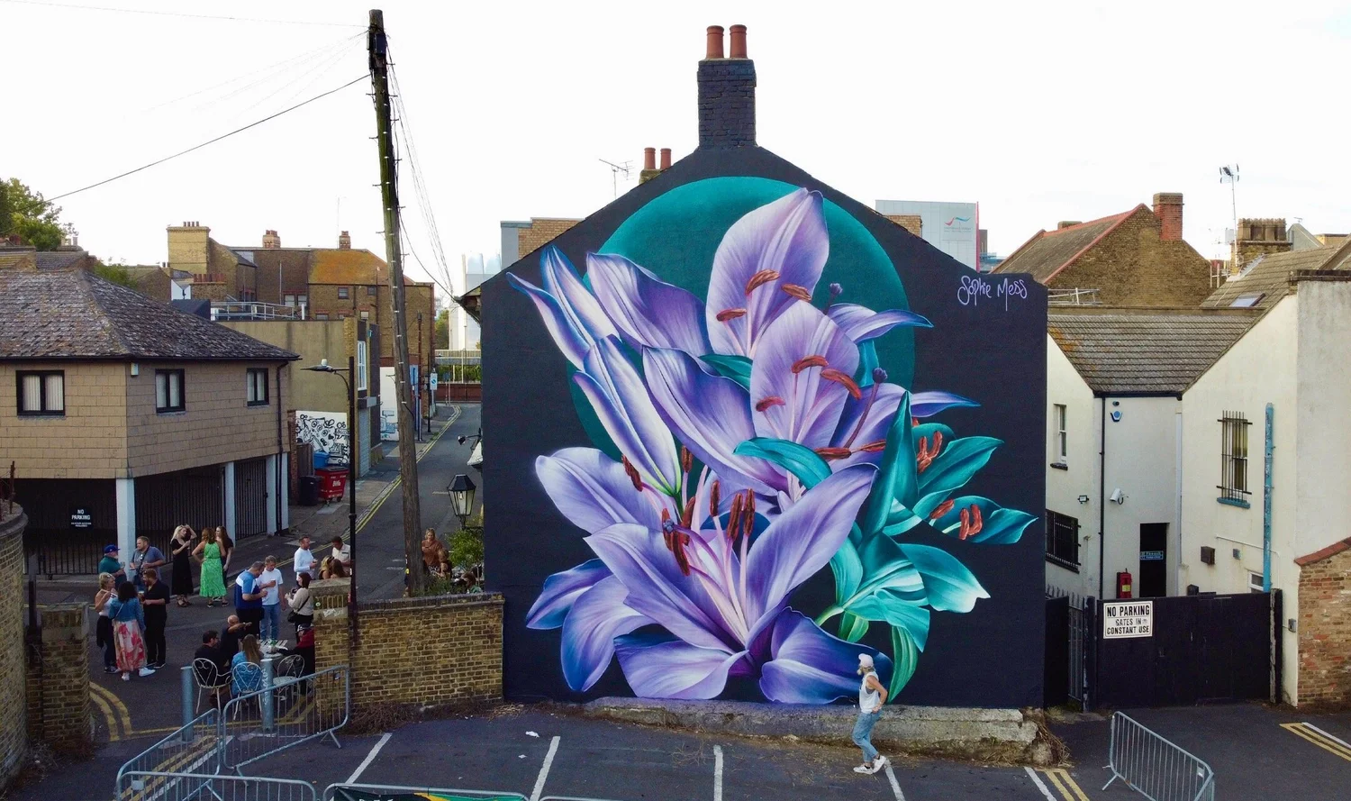 Murals and Street Art — Sophie Mess
