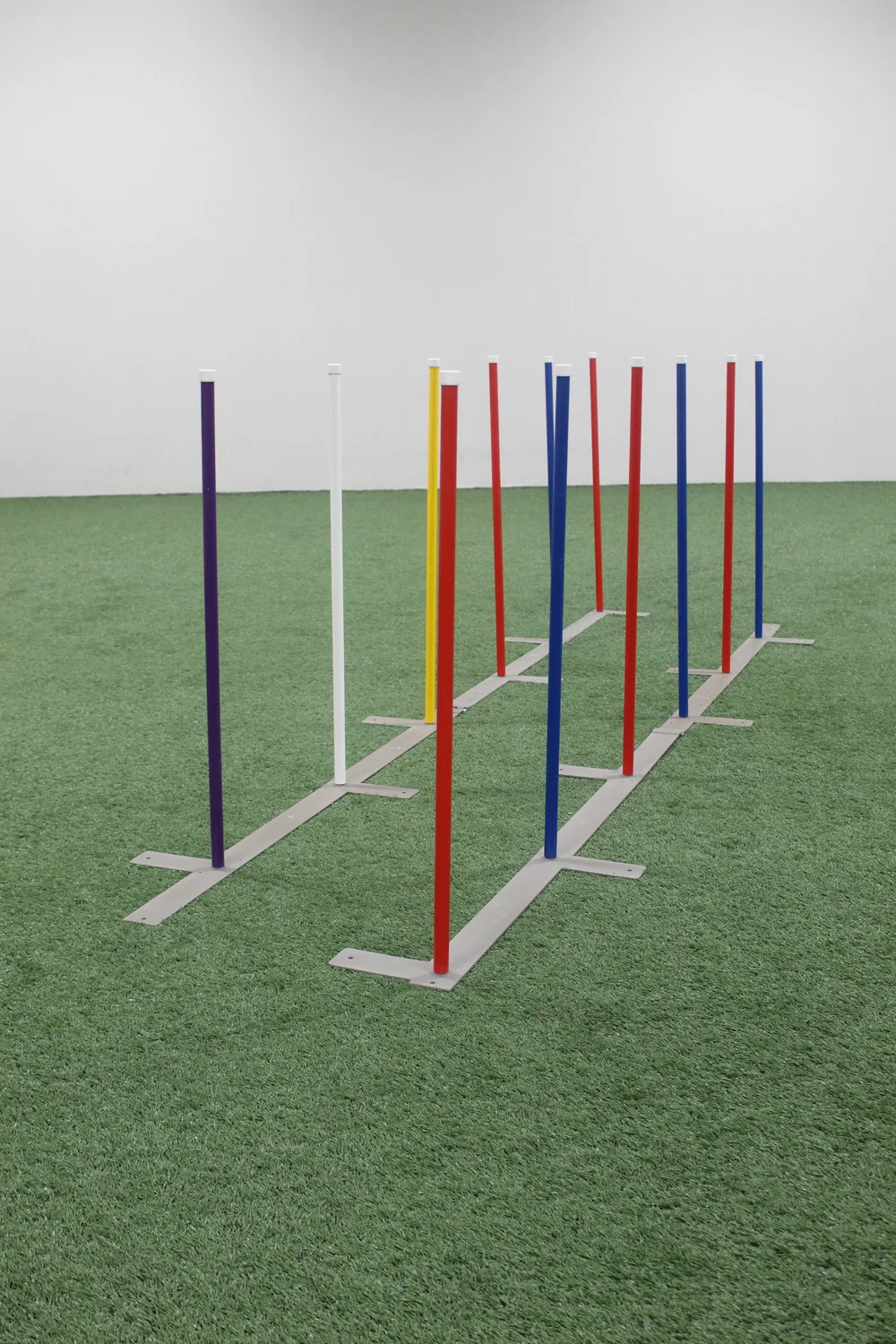 Shop — Countryside Agility