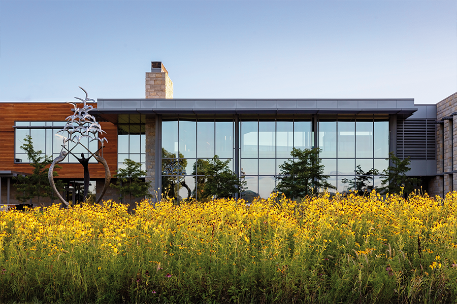 Susan K. Weiler — Fox Valley Arts Hall of Fame