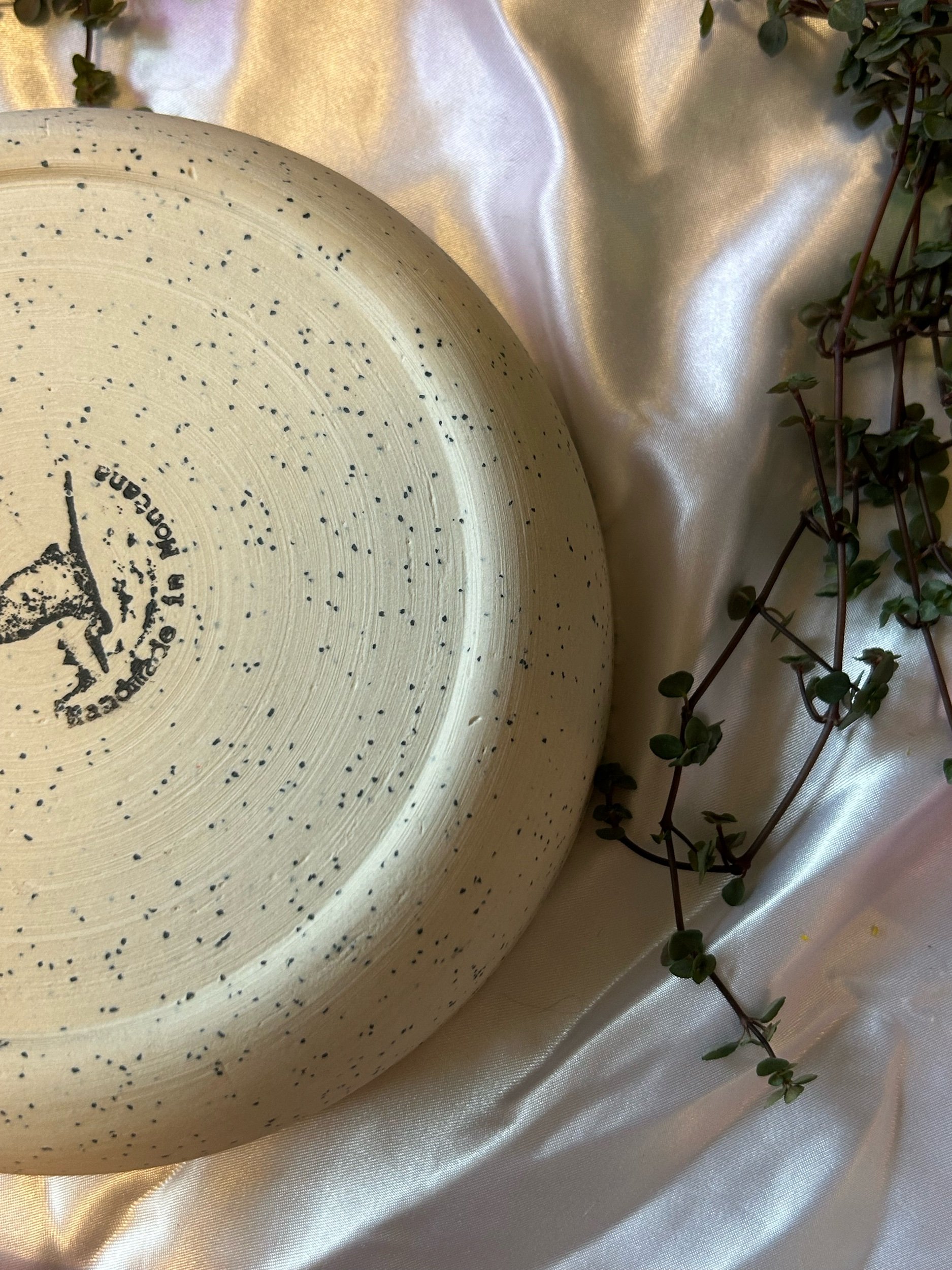 Small Plain Blate - Black Speckle — Rooted Ceramics