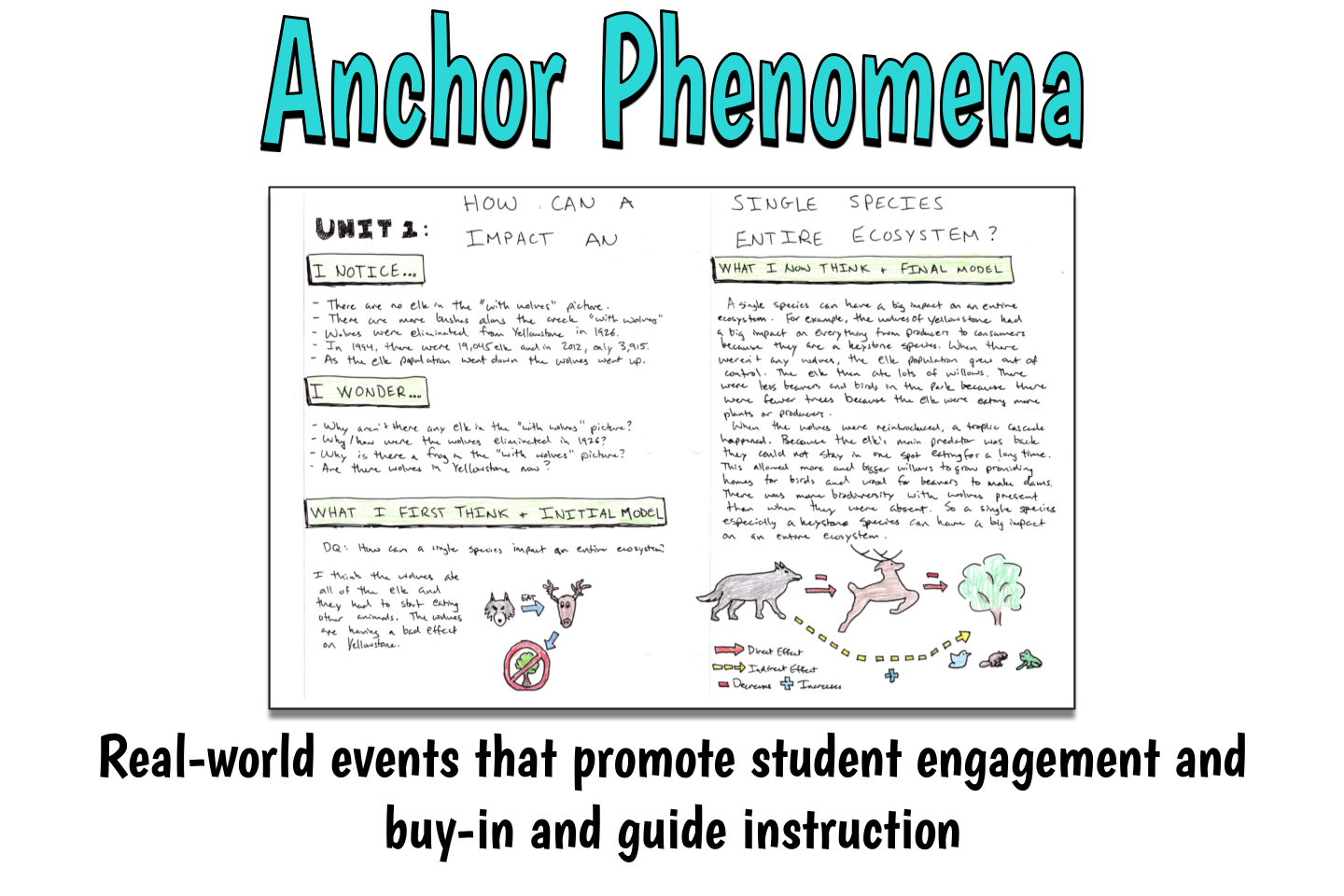 Phenomenal Notebooks — Weibert Science