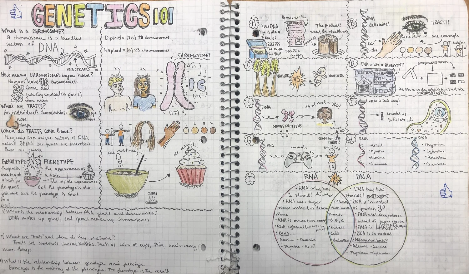 Real Science Notebooking Examples — Weibert Science