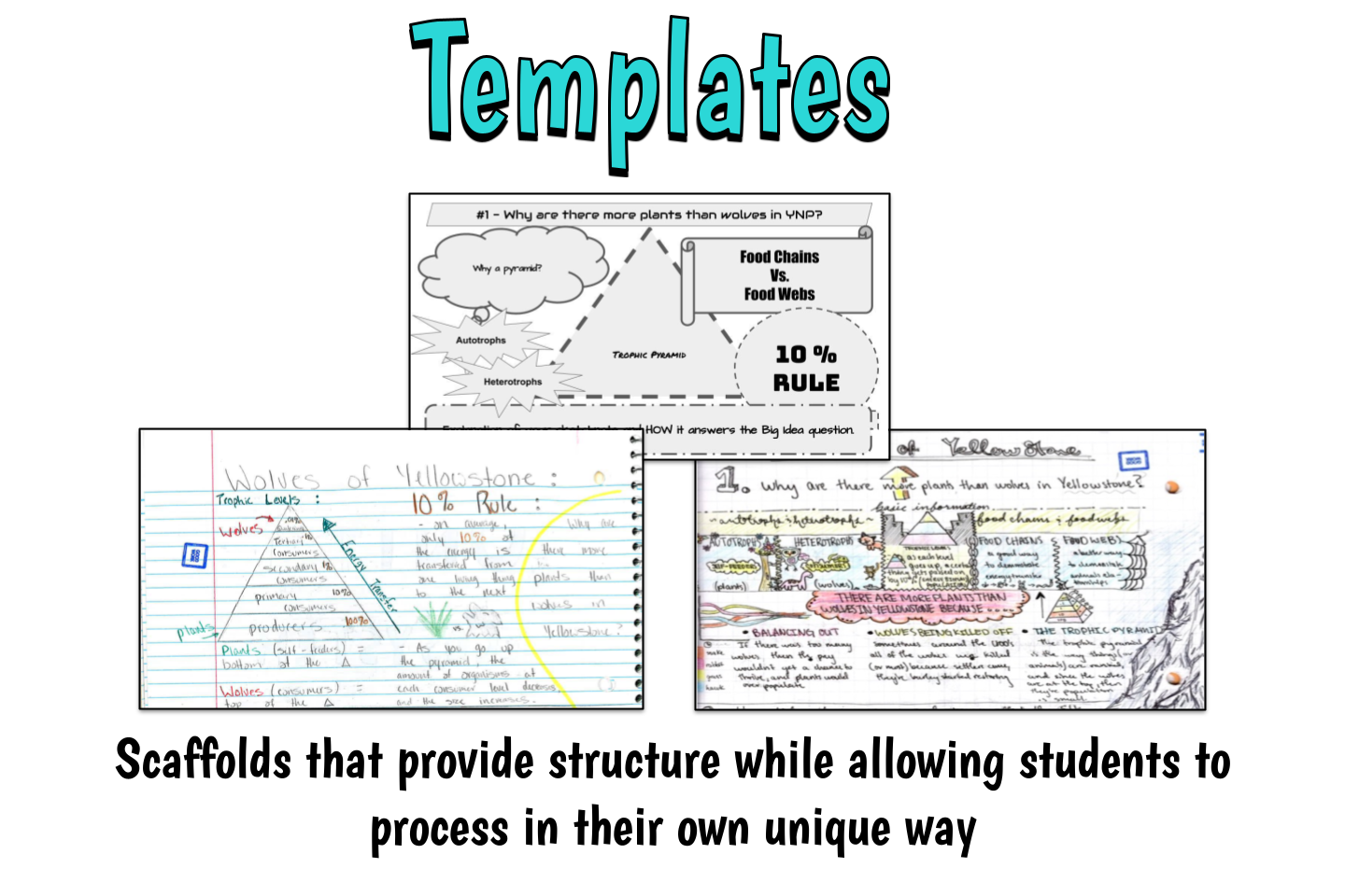 Phenomenal Notebooks — Weibert Science
