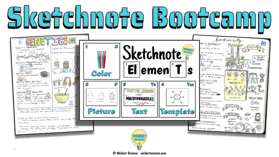 Sketchnote Bootcamp — Weibert Science
