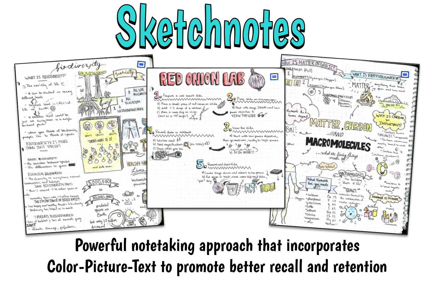 Phenomenal Notebooks — Weibert Science