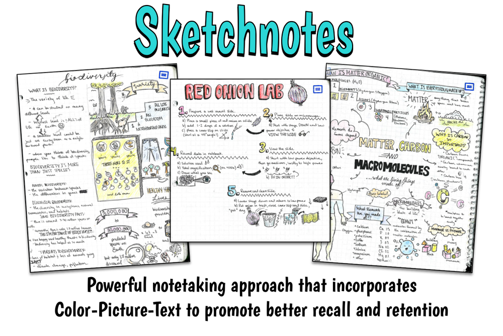 Phenomenal Notebooks — Weibert Science