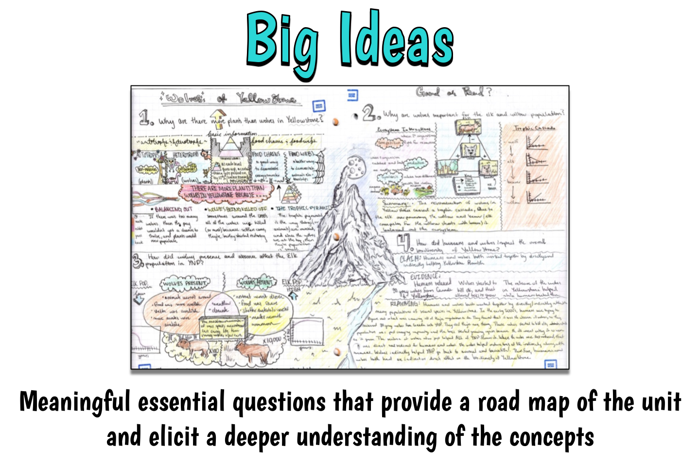 Phenomenal Notebooks — Weibert Science