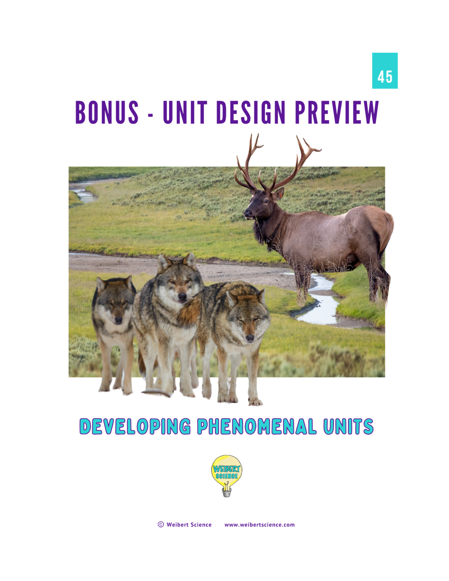 General 1 — Weibert Science