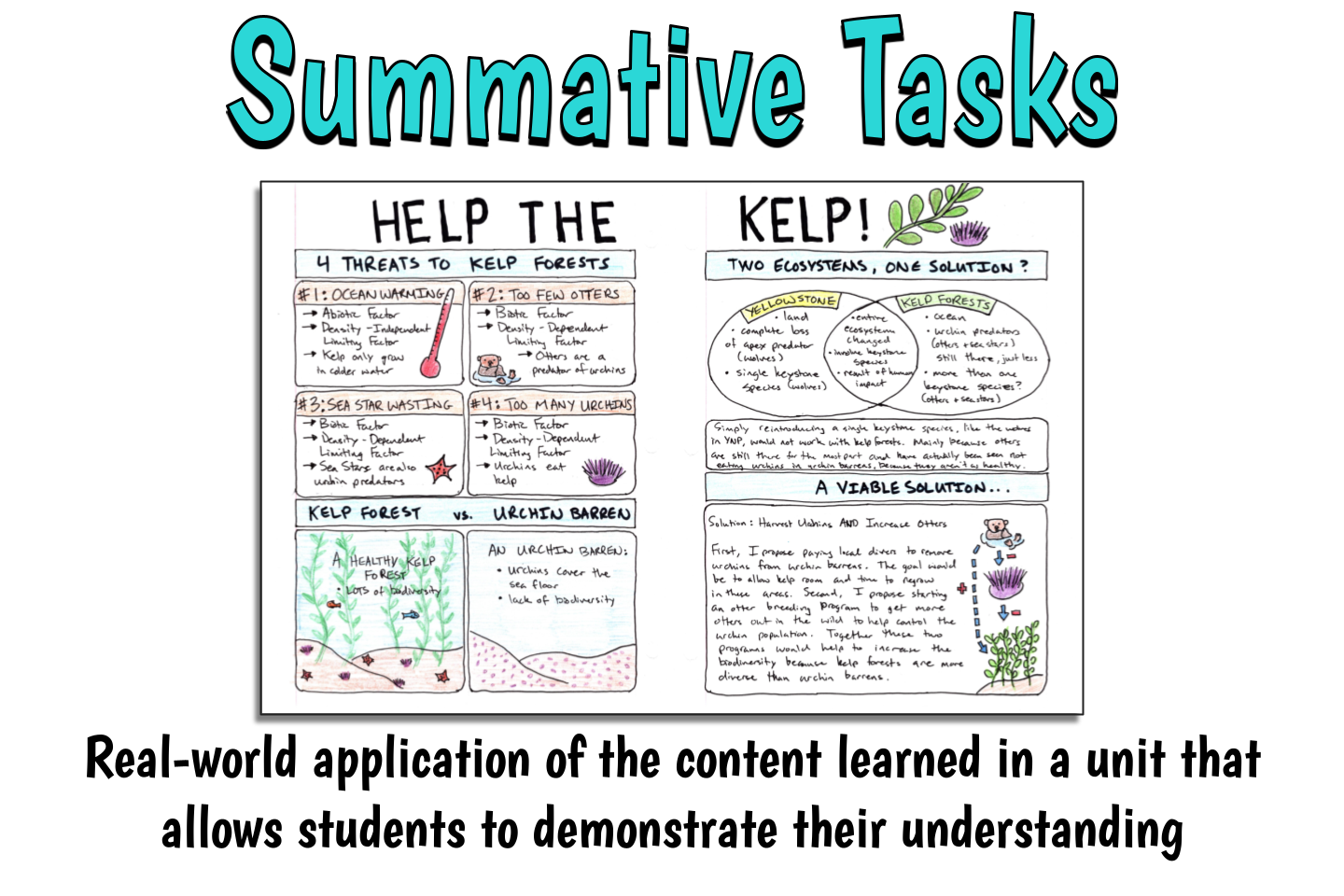 Phenomenal Notebooks — Weibert Science