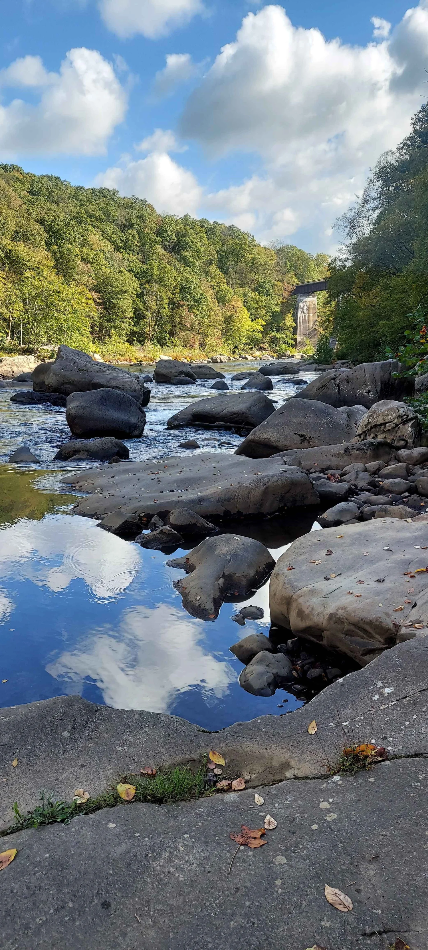 Glorious Mako Ultralight Switch Review — ThereminGoat's Switches