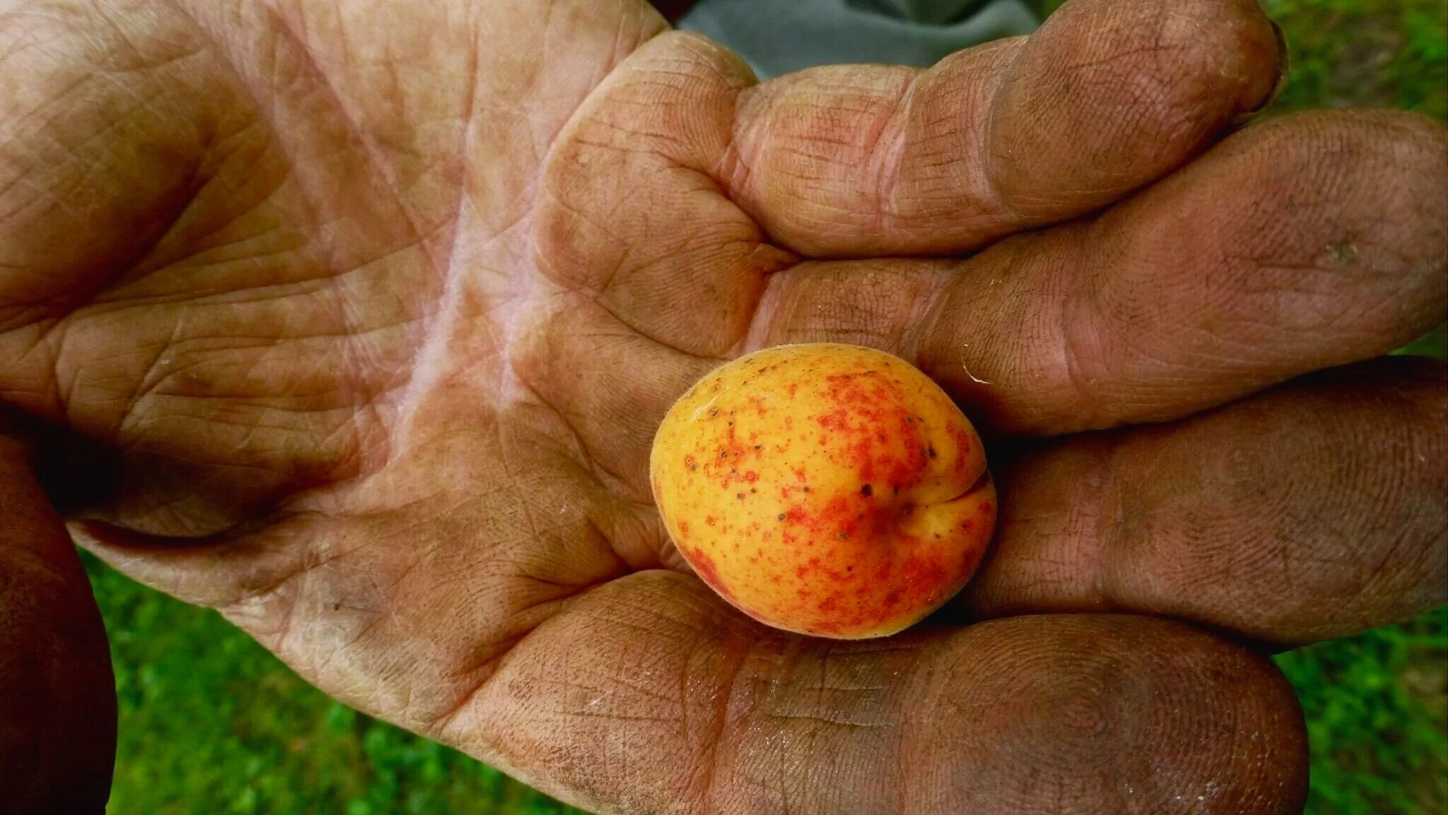 About — www.meredithcochran.com