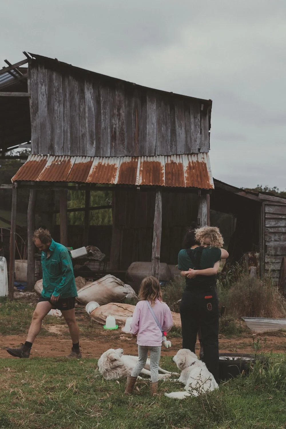 Our Story — Allington Family Farm