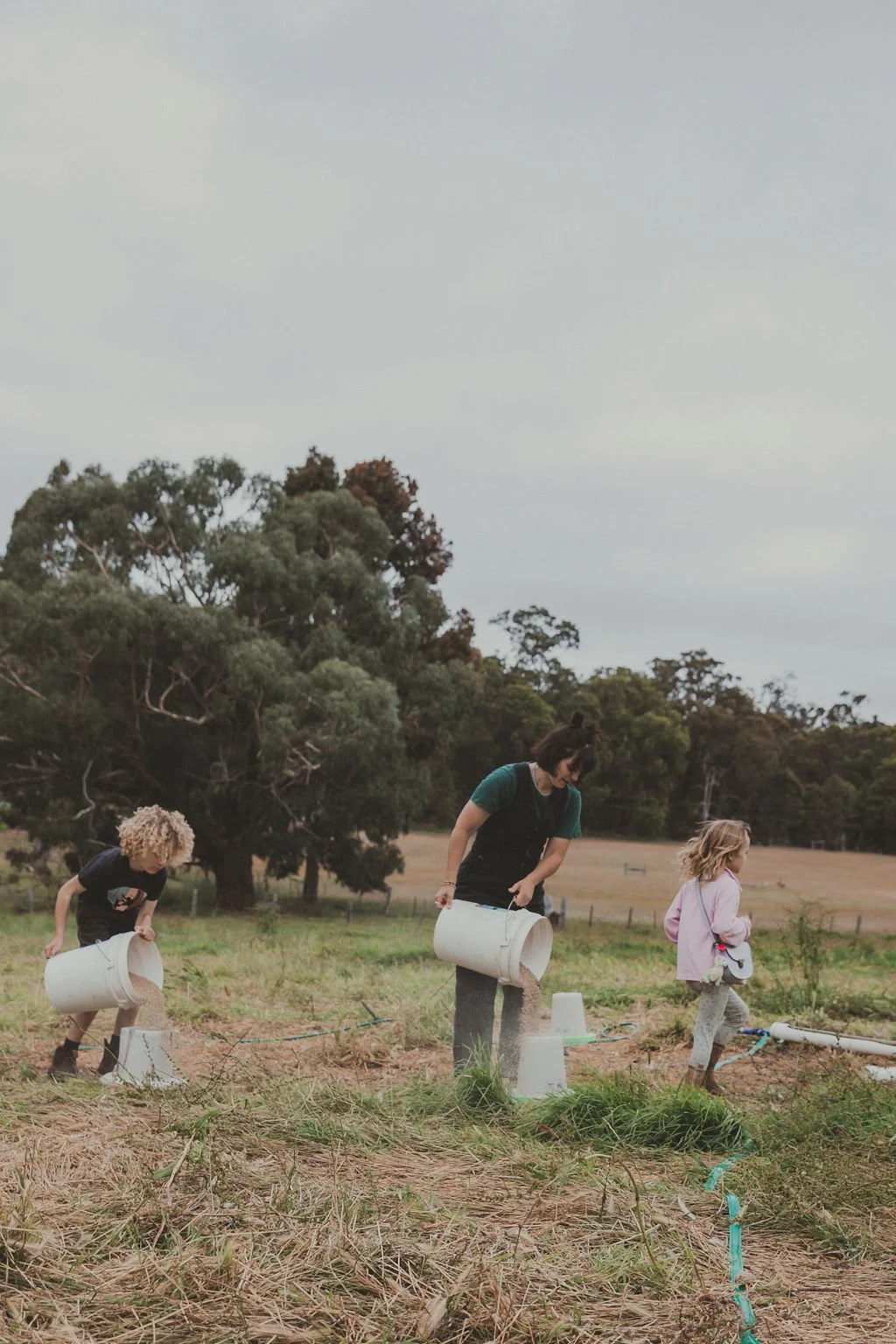 Allington Family Farm