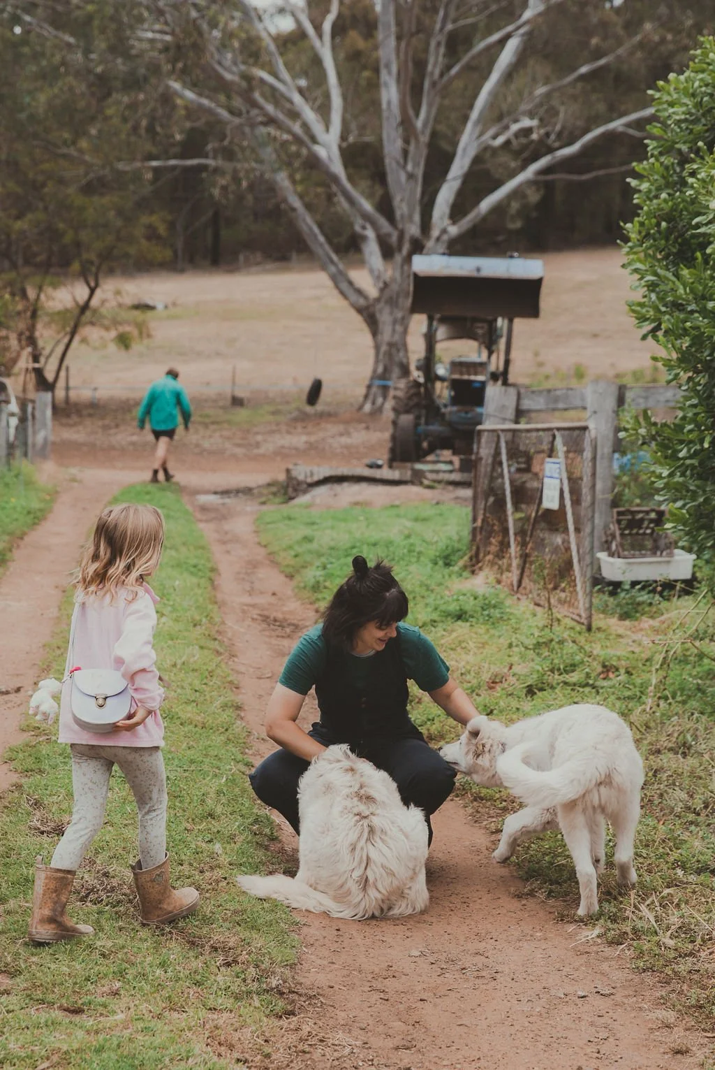 Pasture Raised Chicken — Allington Family Farm