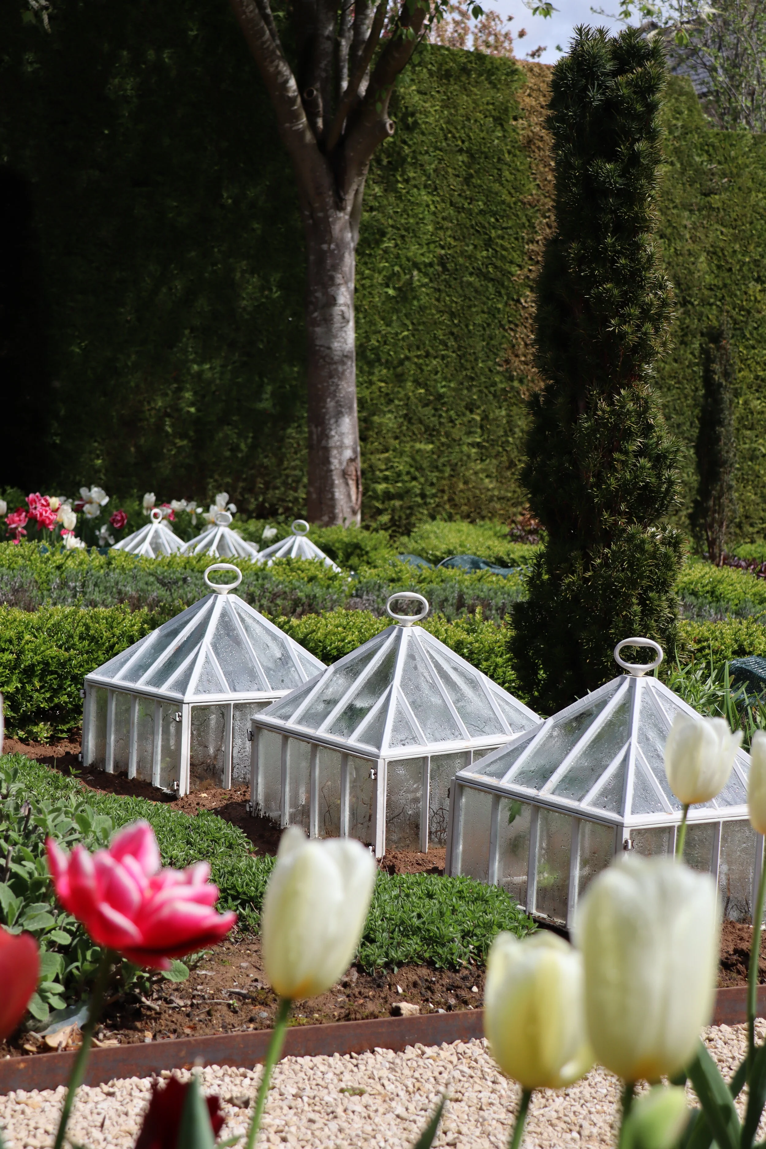 Claverton Cloches - Cast-Iron Victorian Garden Cloches