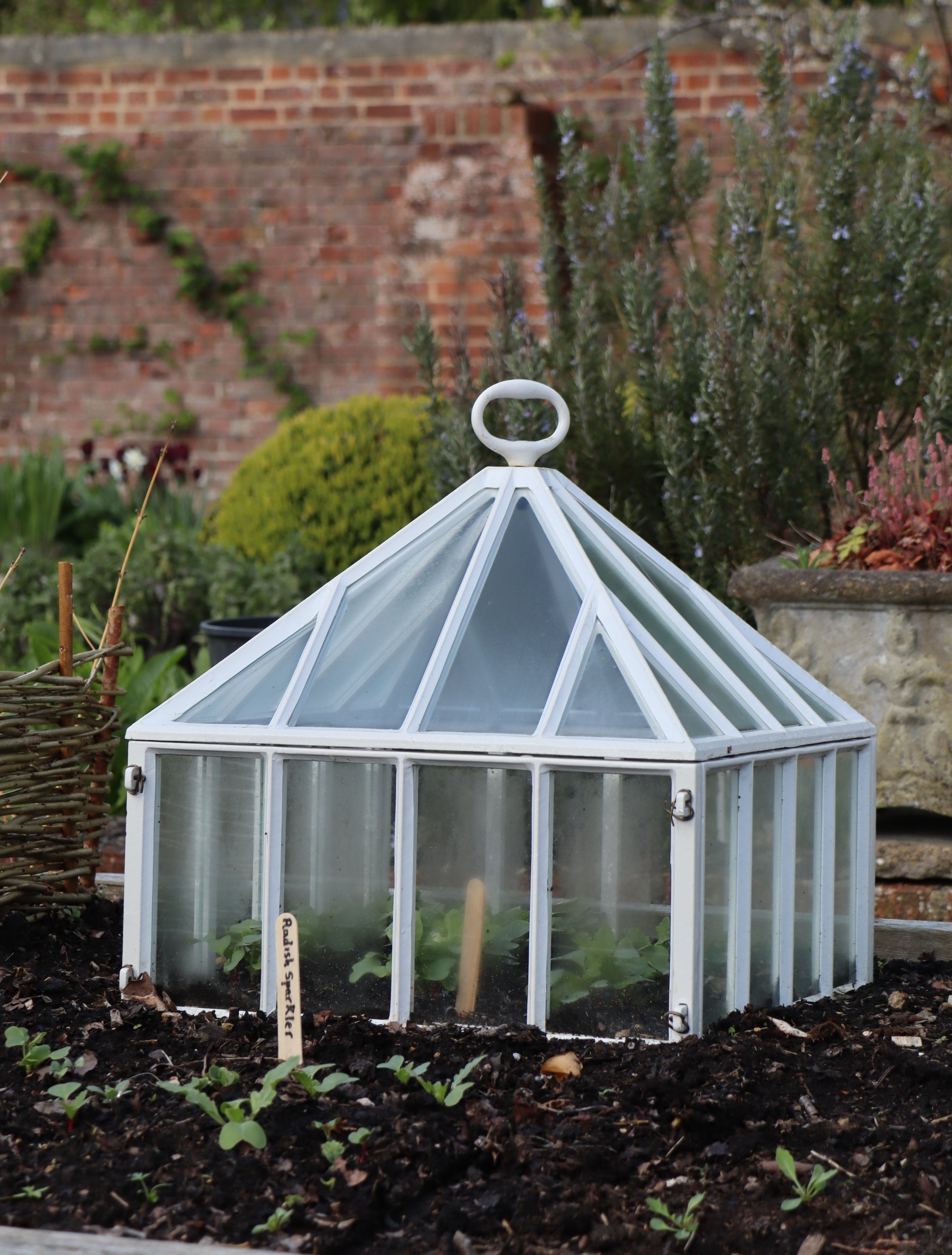 Victorian Cast Iron Garden Cloche | Fasci Garden