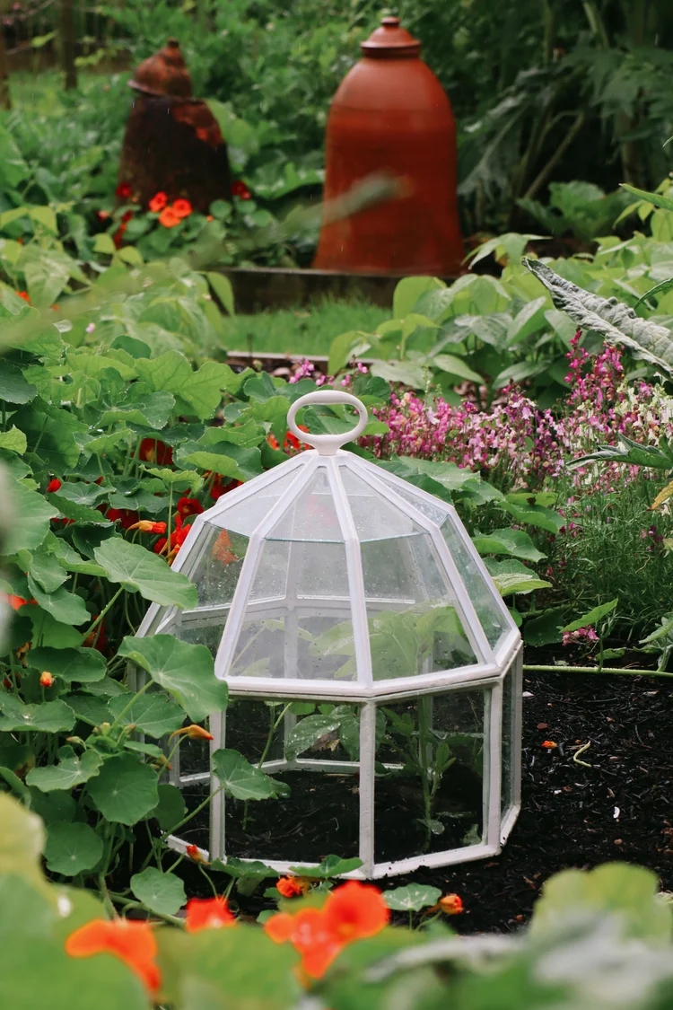 Claverton Cloches - Cast-Iron Victorian Garden Cloches