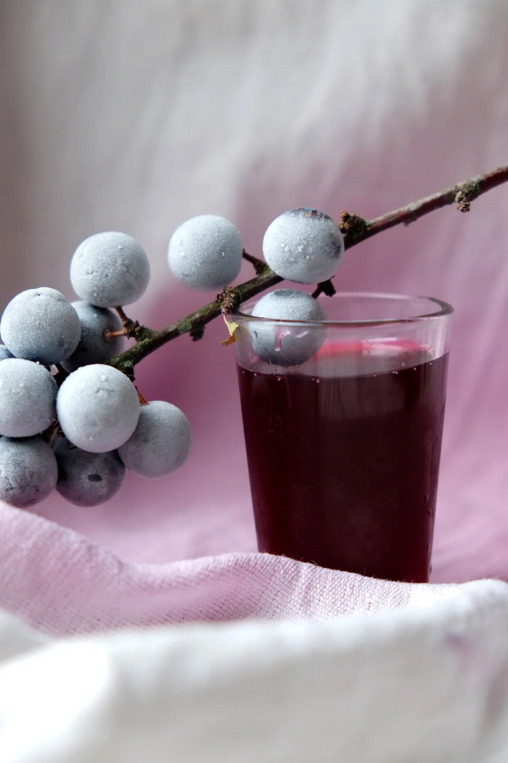 ELDERBERRY SLOE LIQUEUR — COOKING LIKE A FOX