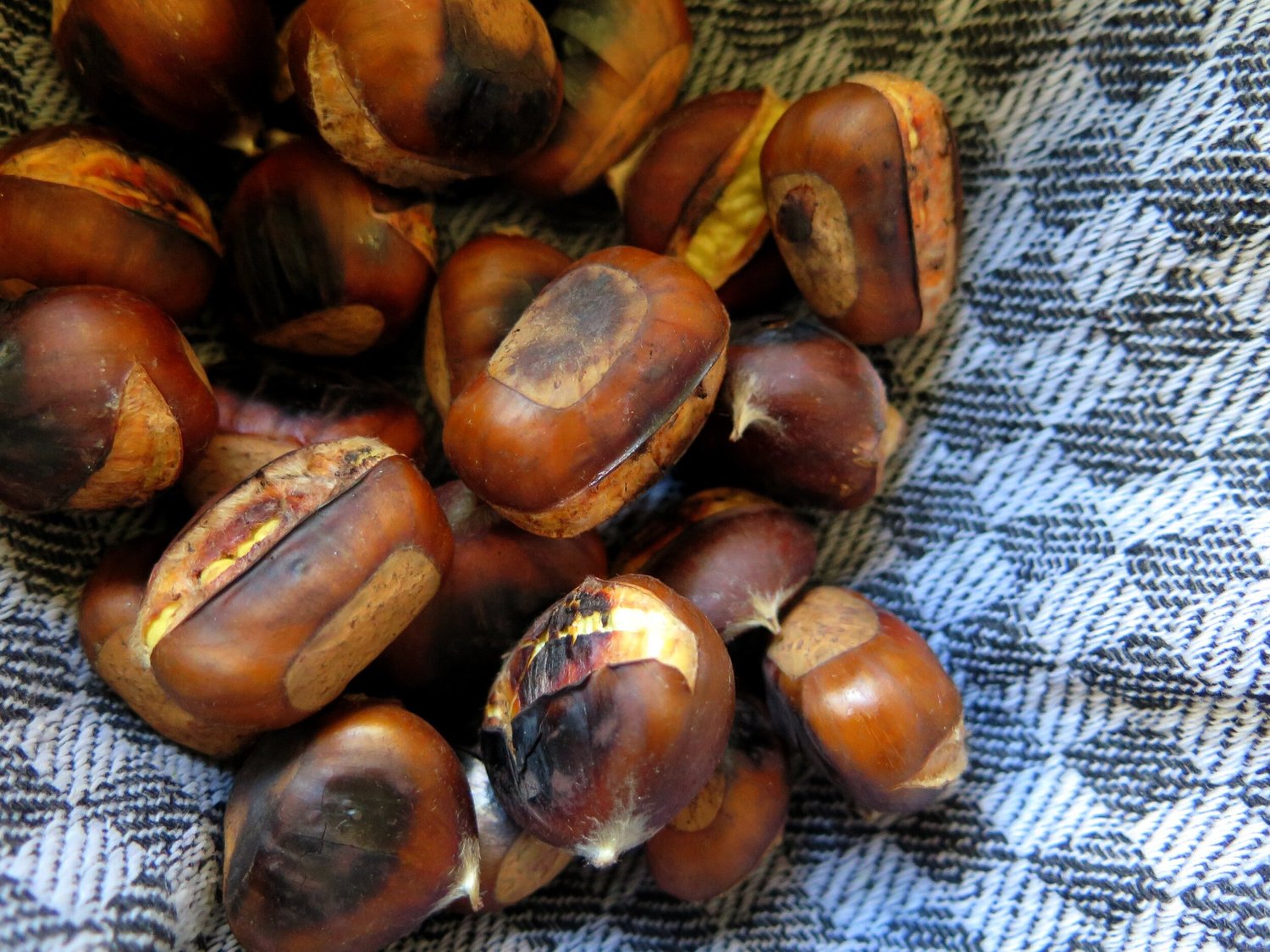 ROASTED CHESTNUTS — COOKING LIKE A FOX
