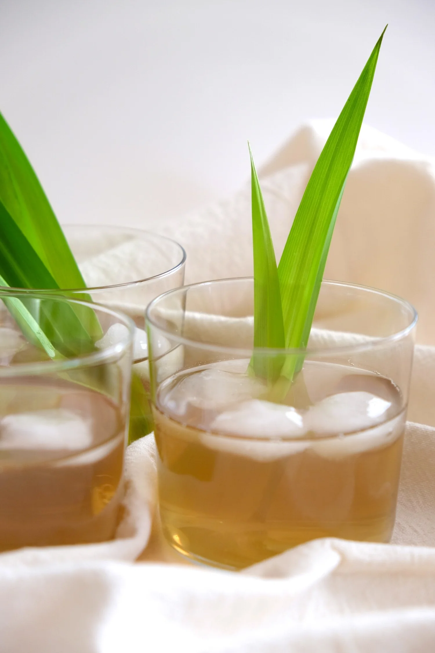 PANDAN LEMONGRASS ICE TEA — COOKING LIKE A FOX