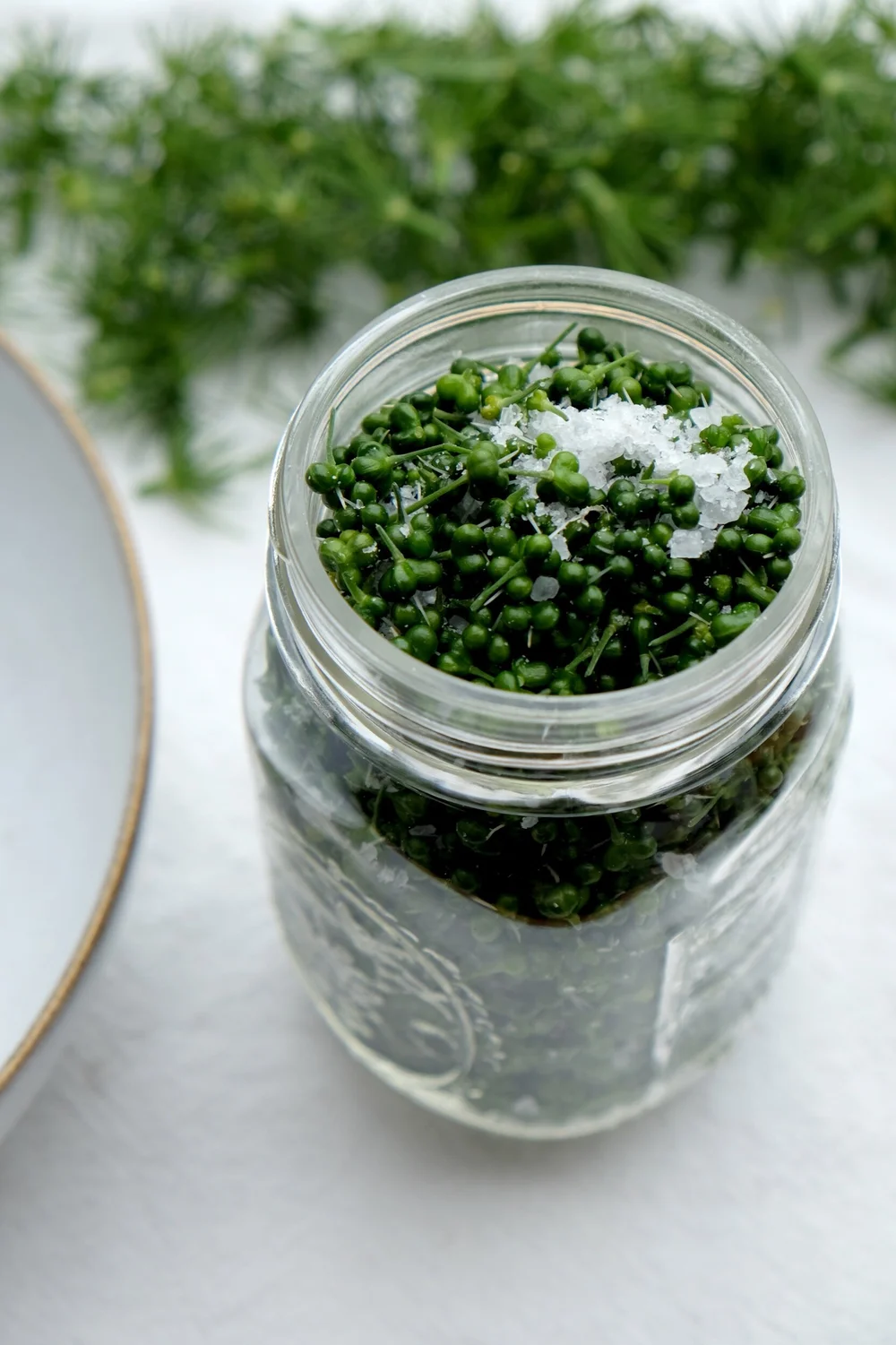 WILD GARLIC SEED CAPERS — COOKING LIKE A FOX