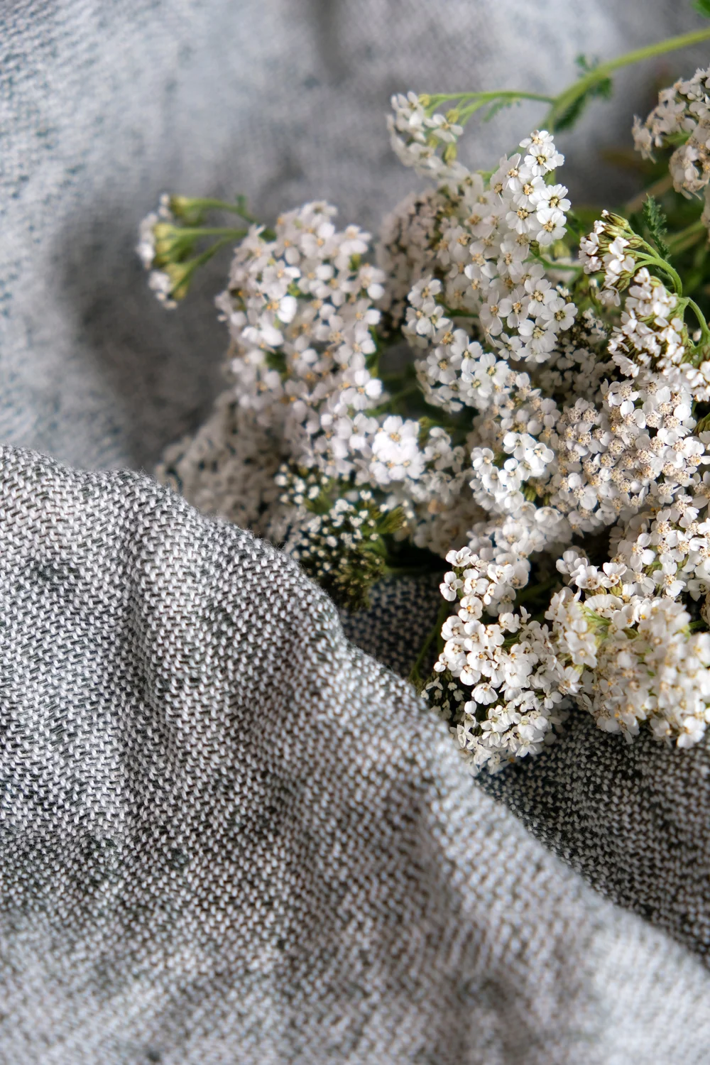 YARROW SYRUP — COOKING LIKE A FOX