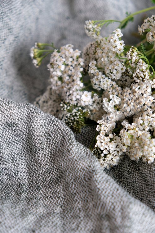YARROW SYRUP — COOKING LIKE A FOX