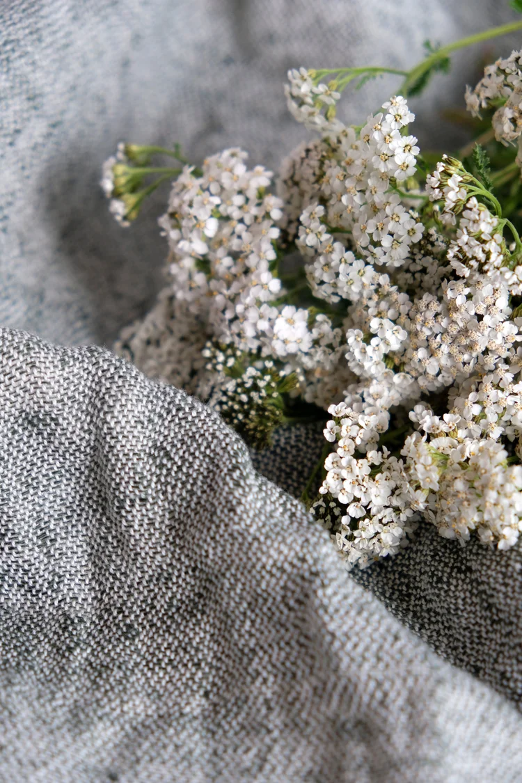 YARROW SYRUP — COOKING LIKE A FOX