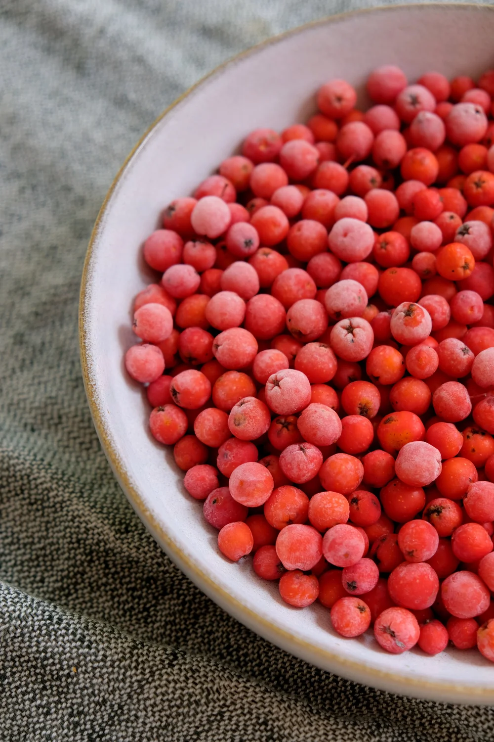 CANDIED ROWAN BERRIES + ROWAN BERRY SYRUP — COOKING LIKE A FOX