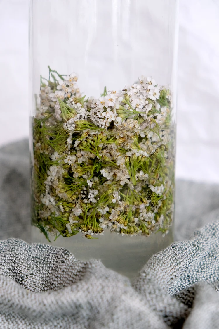 YARROW SYRUP — COOKING LIKE A FOX