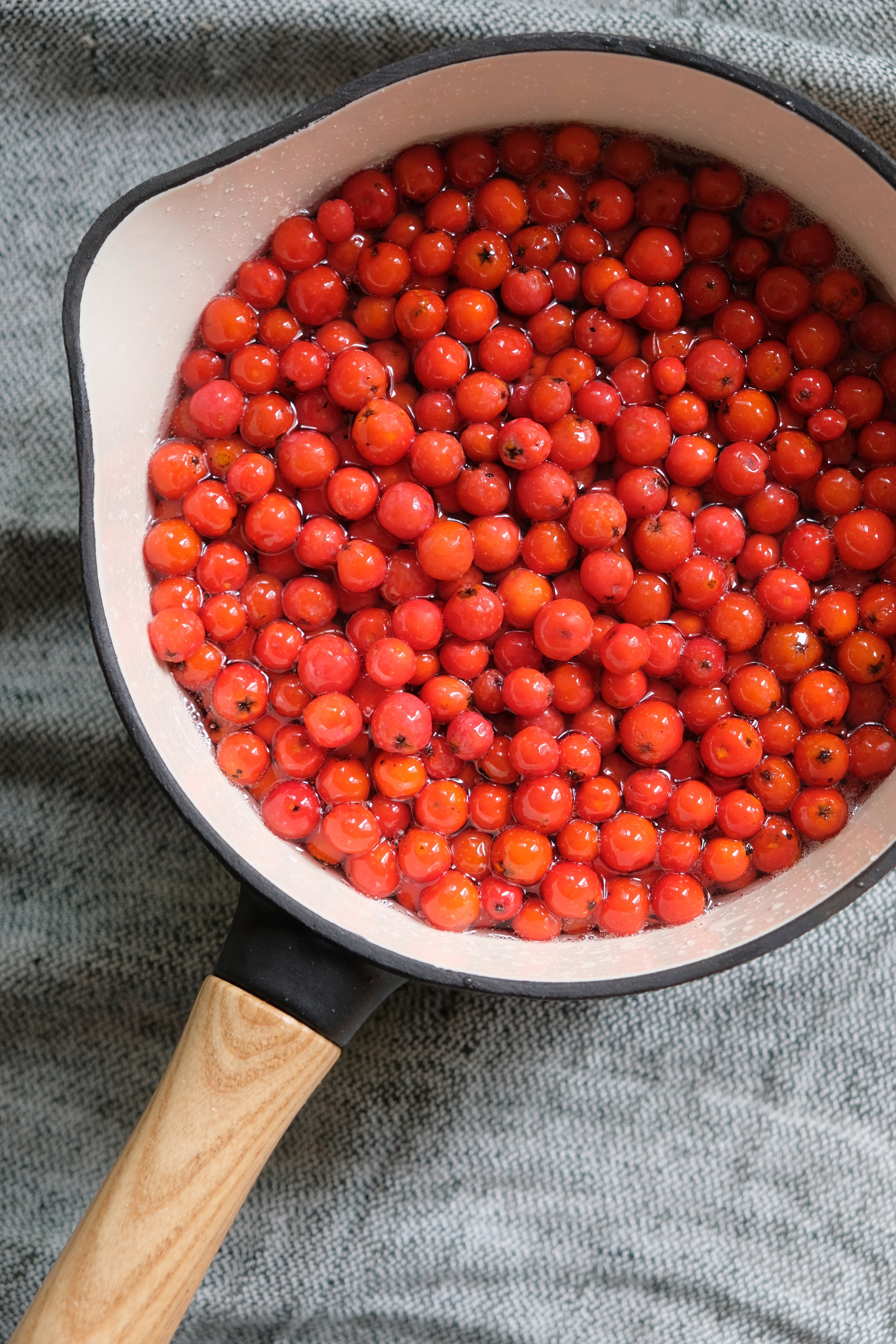CANDIED ROWAN BERRIES + ROWAN BERRY SYRUP — COOKING LIKE A FOX