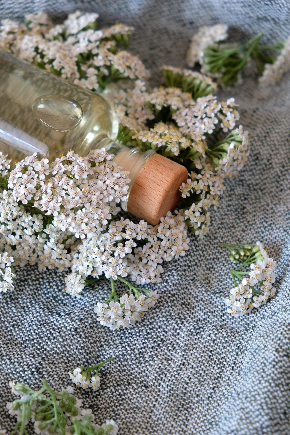YARROW SYRUP — COOKING LIKE A FOX