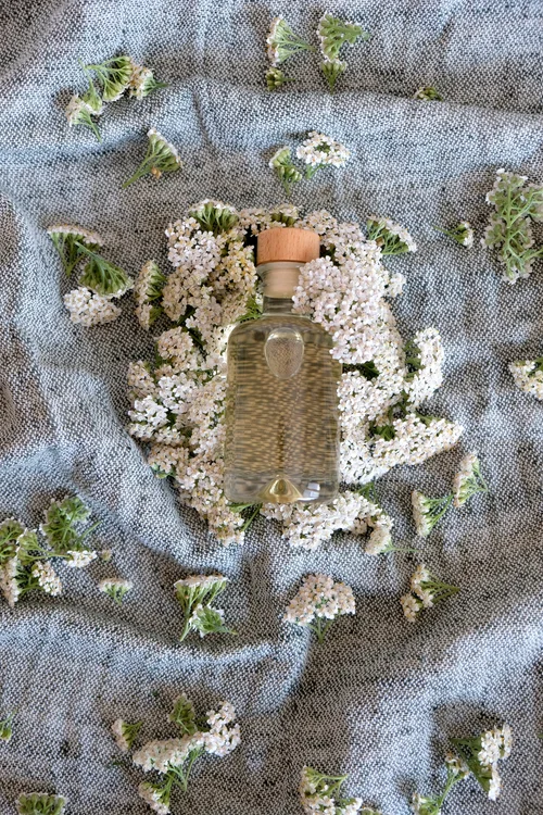 YARROW SYRUP — COOKING LIKE A FOX