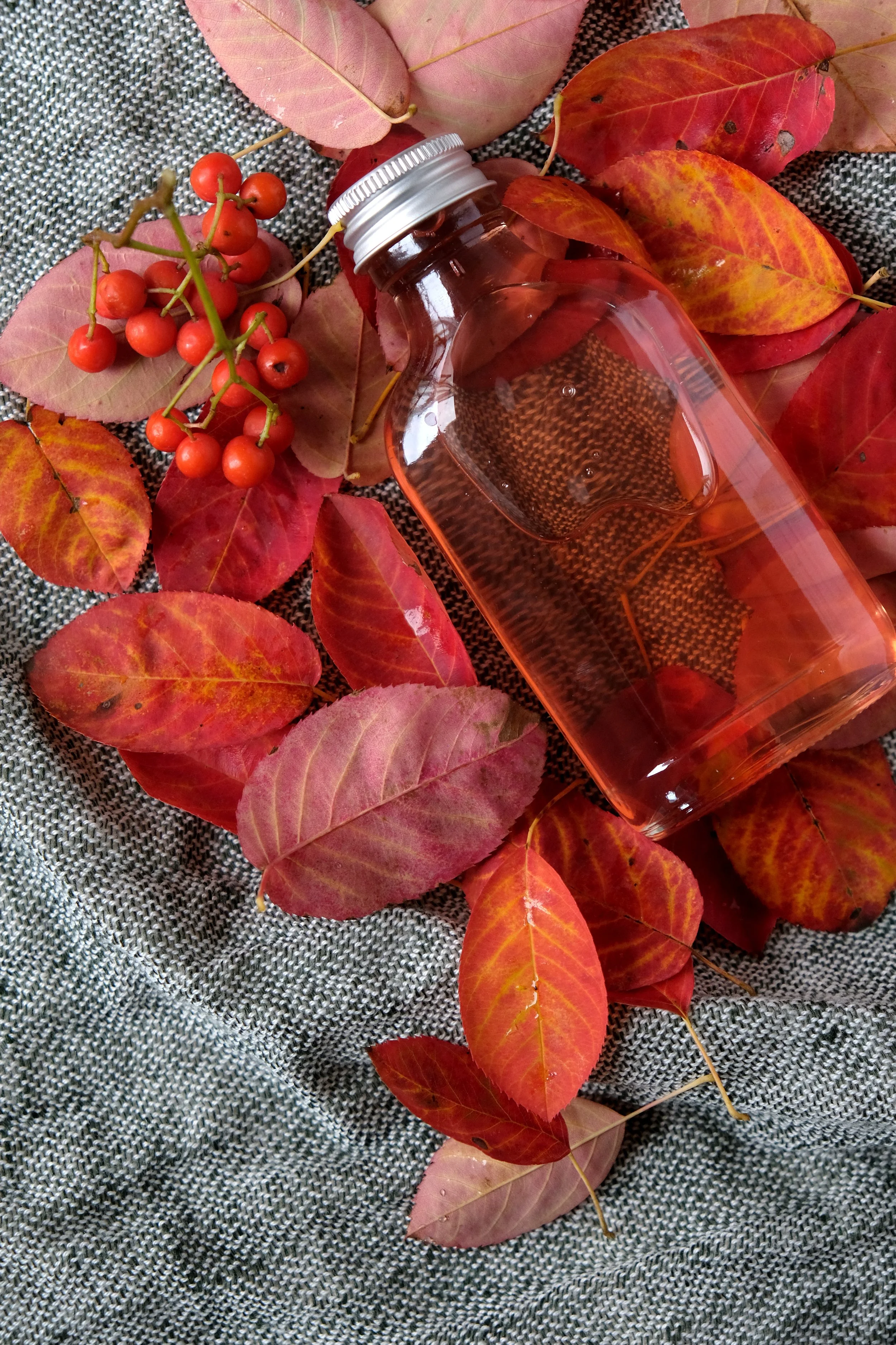 CANDIED ROWAN BERRIES + ROWAN BERRY SYRUP — COOKING LIKE A FOX
