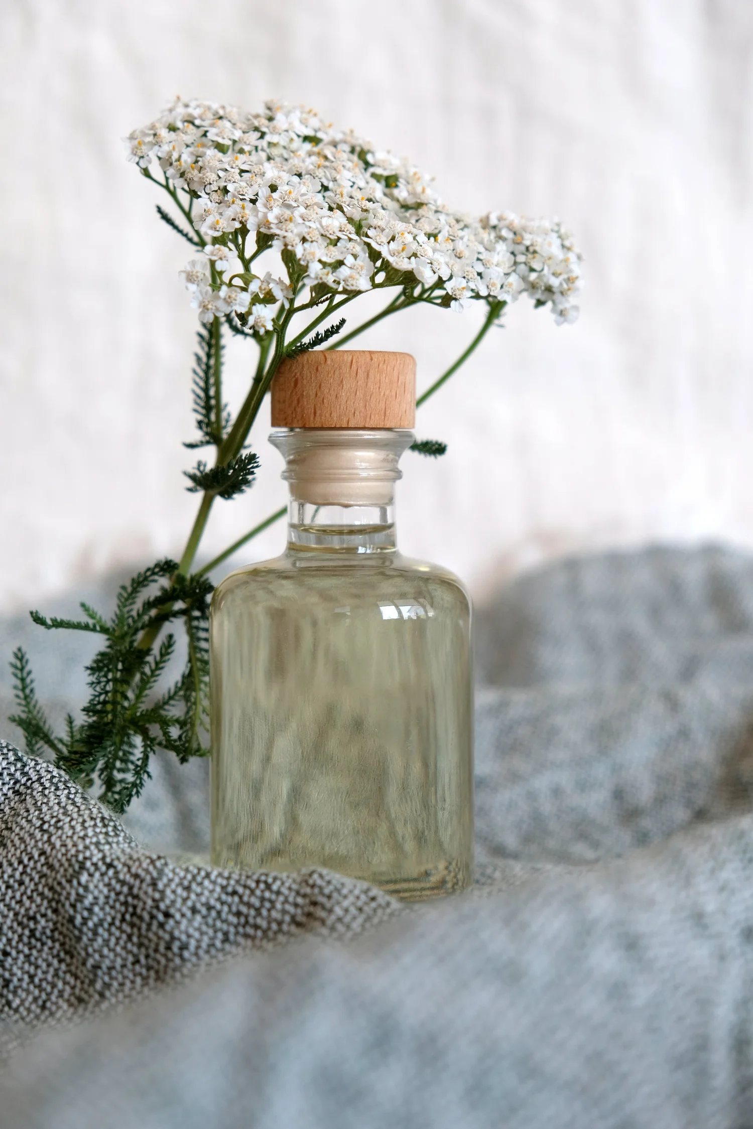 YARROW SYRUP — COOKING LIKE A FOX