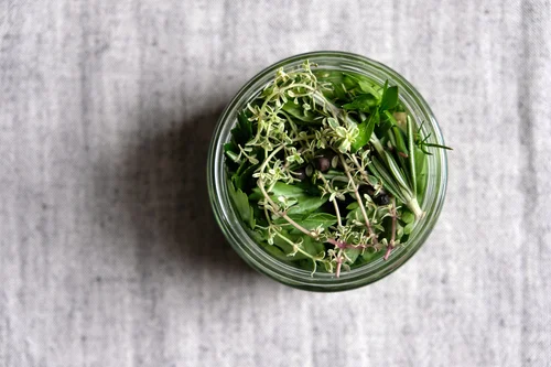 PICKLED WILD GARLIC FLOWER BUDS — COOKING LIKE A FOX