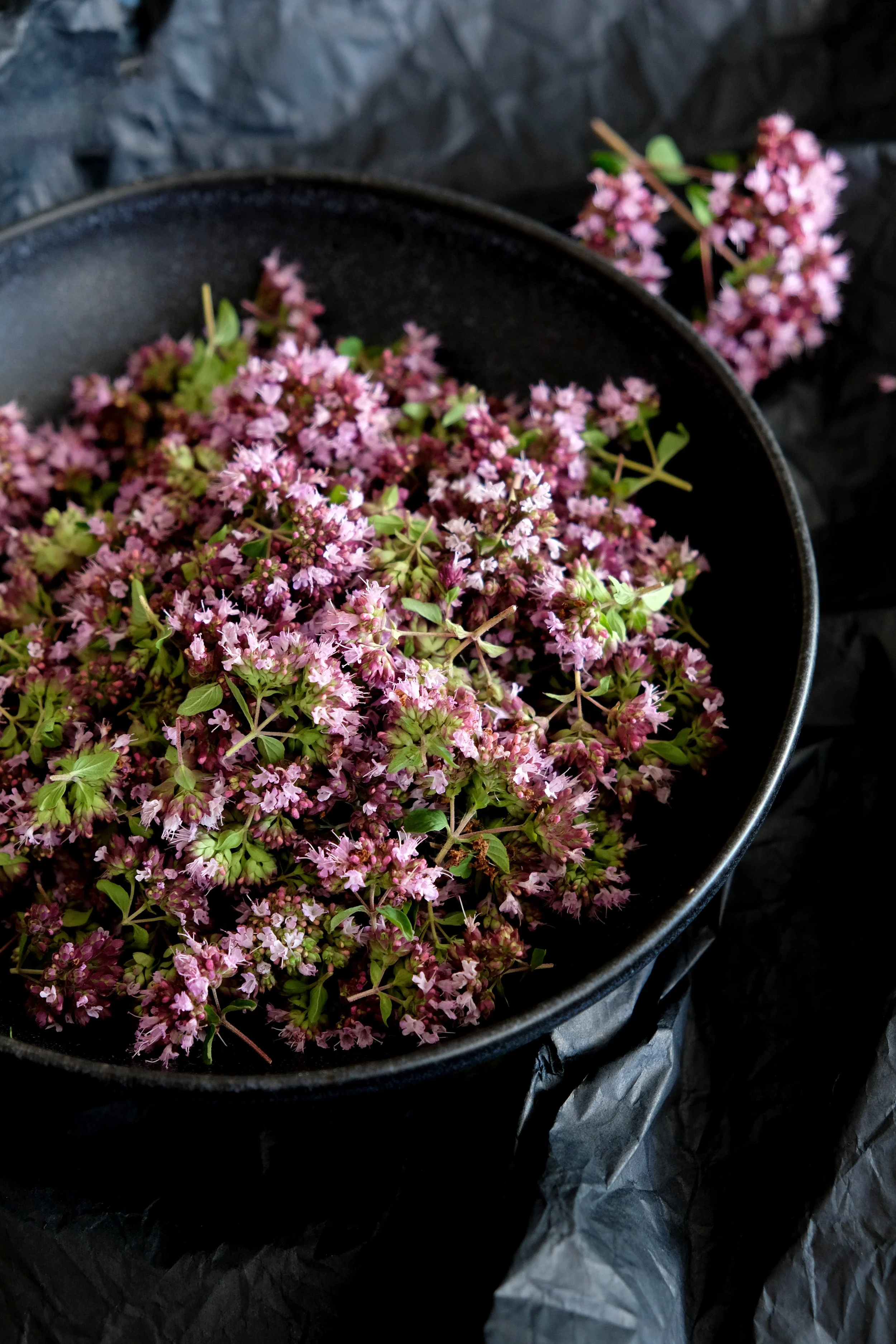 GOOSEBERRY THYME BLOSSOM LEMONADE — COOKING LIKE A FOX