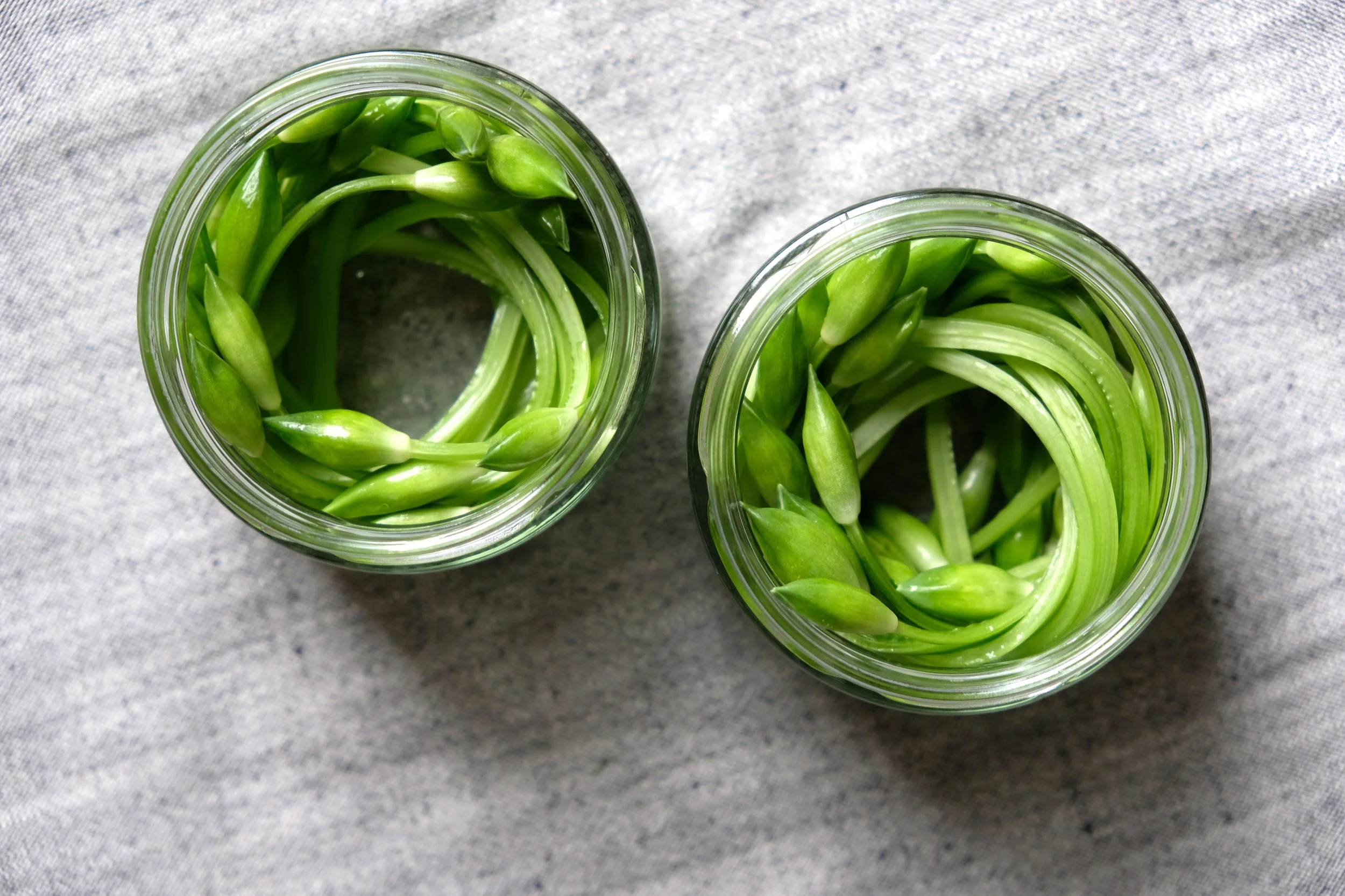 PICKLED WILD GARLIC FLOWER BUDS — COOKING LIKE A FOX