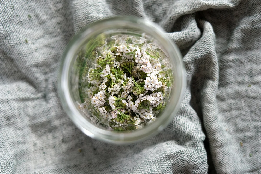 YARROW SYRUP — COOKING LIKE A FOX