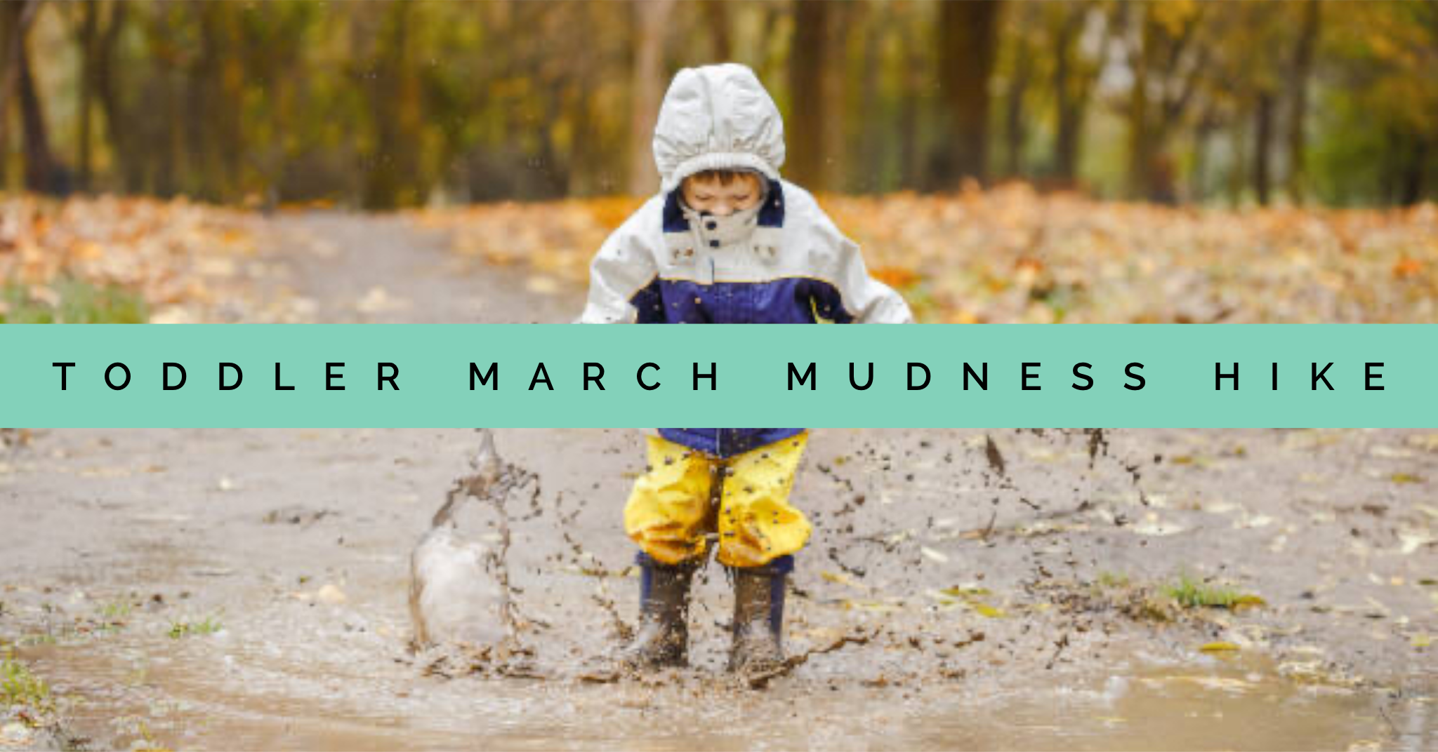 Events — Lewisboro Land Trust