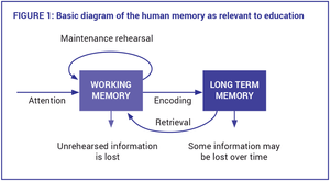 Cognitive Load: Rethinking Human-AI Synergy in the Age of AI ...