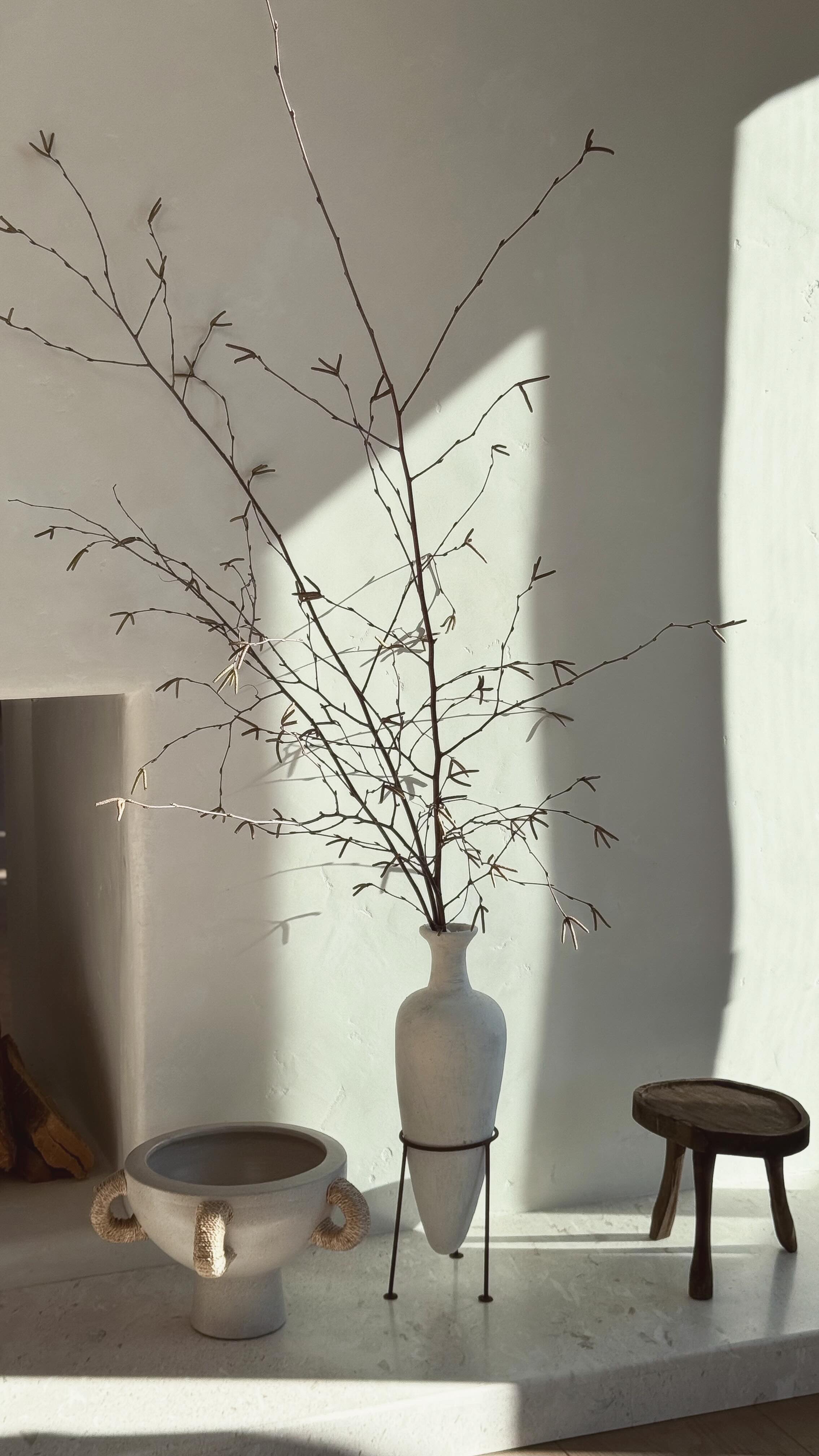 Alissa Johnson Interiors