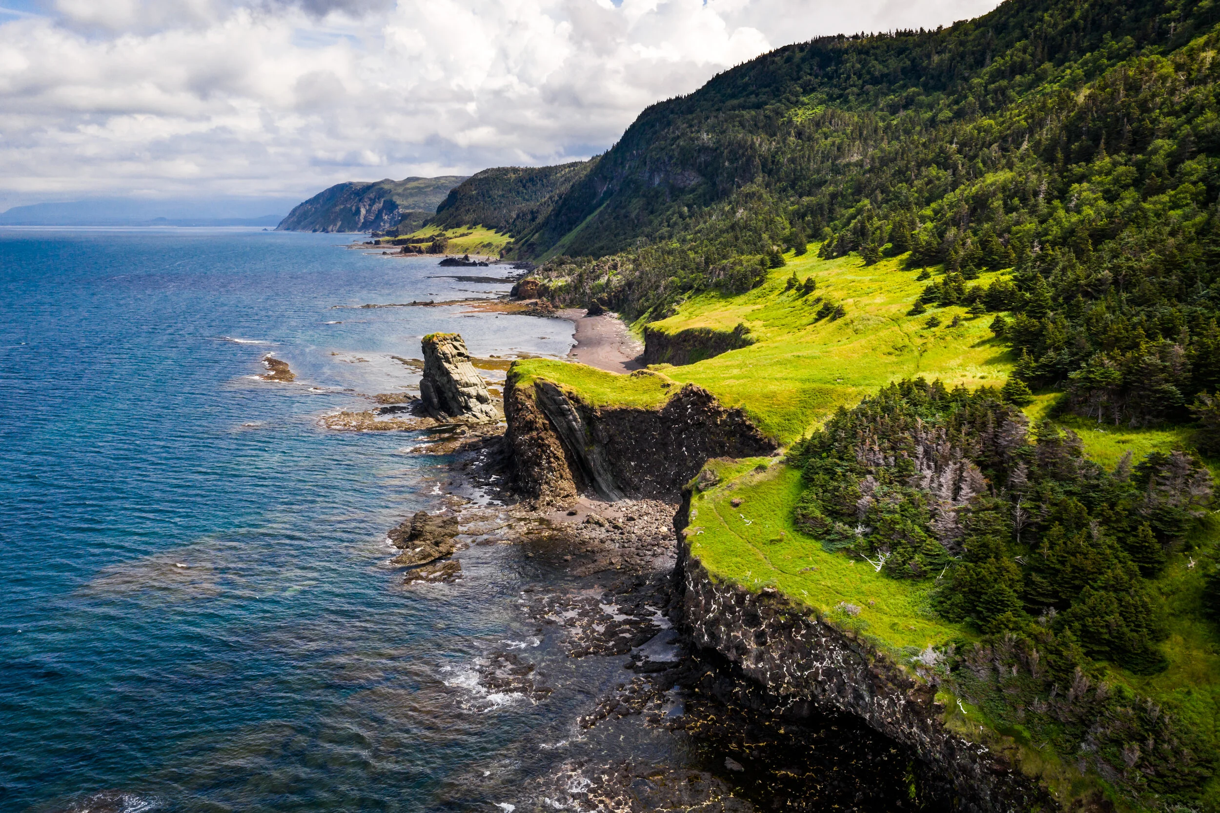 Western Environment Centre of Newfoundland
