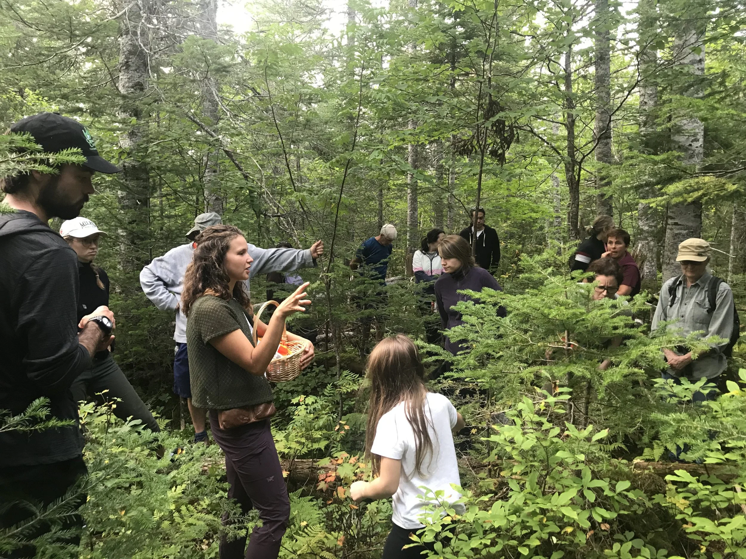 Western Environment Centre of Newfoundland