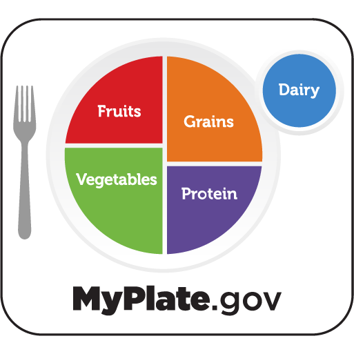 Should I follow USDA’s MyPlate? — Your Latina Nutrition