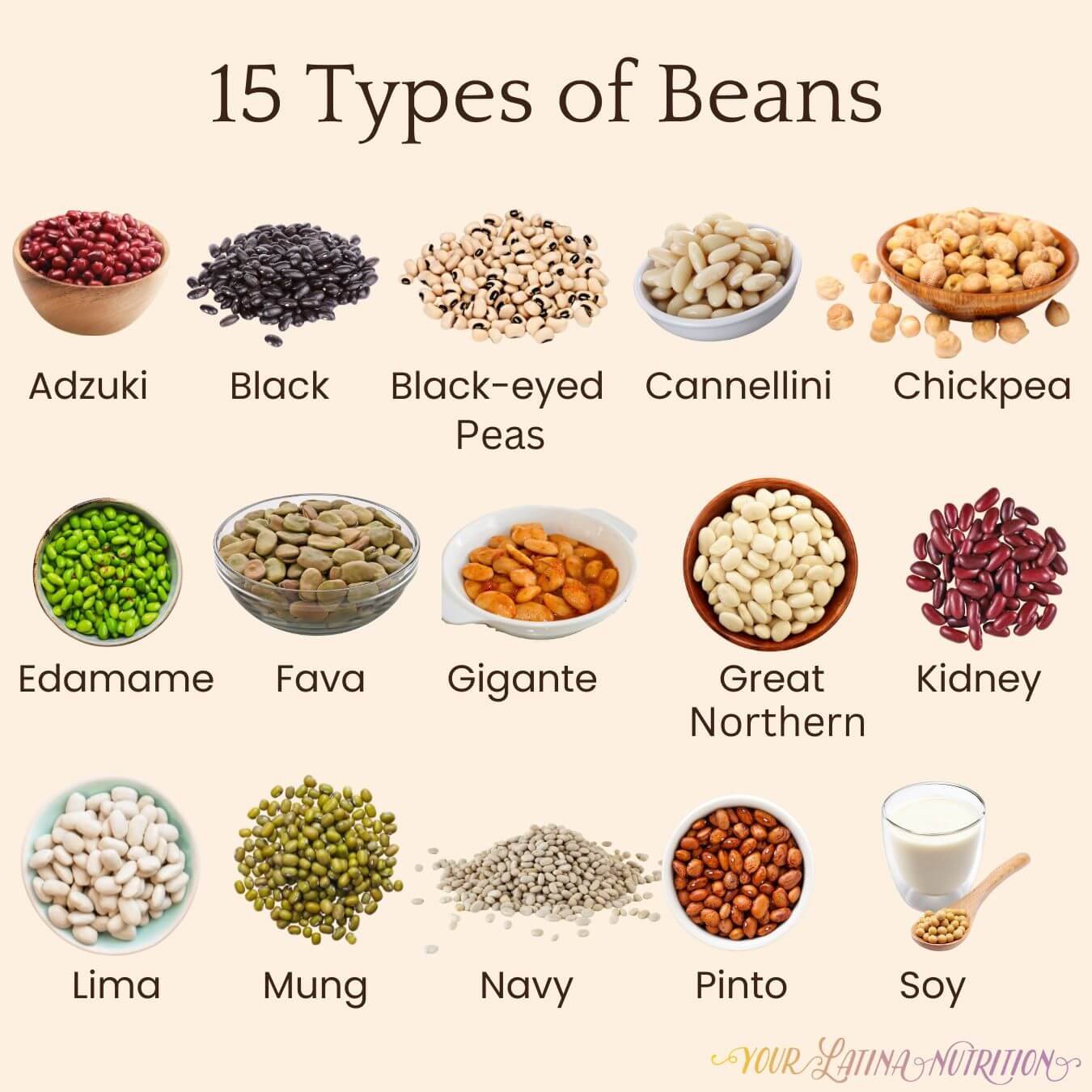 15 Types of Beans: An In-Depth List — Your Latina Nutrition