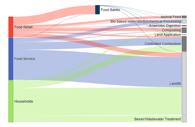 How Can I Stop Wasting So Much Food? — Your Latina Nutrition