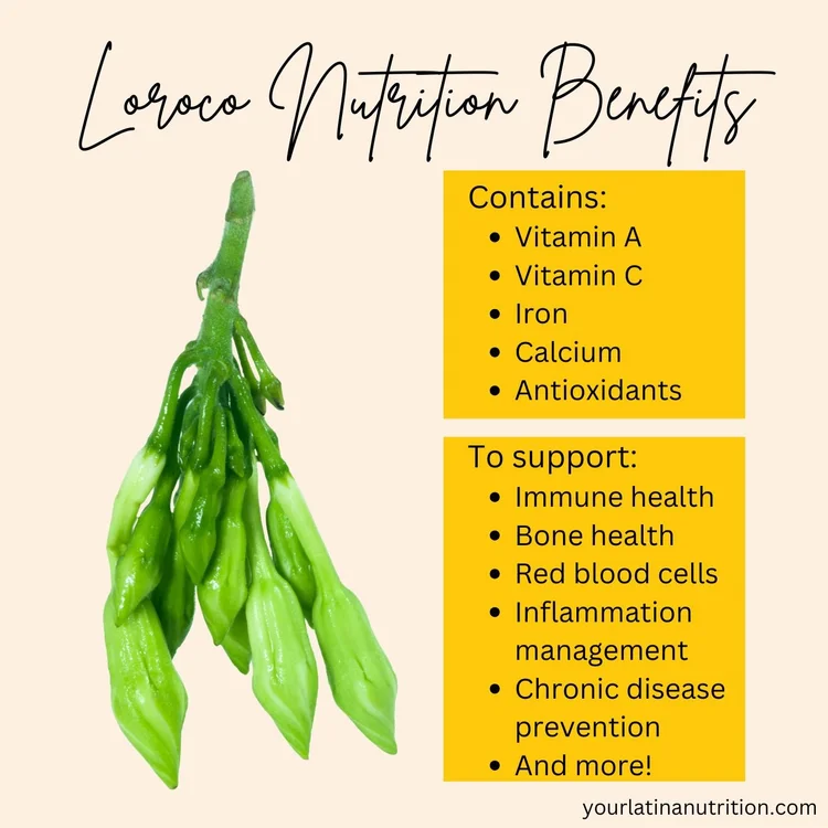 What is Loroco? Nutrition, Benefits, and Uses. — Your Latina Nutrition
